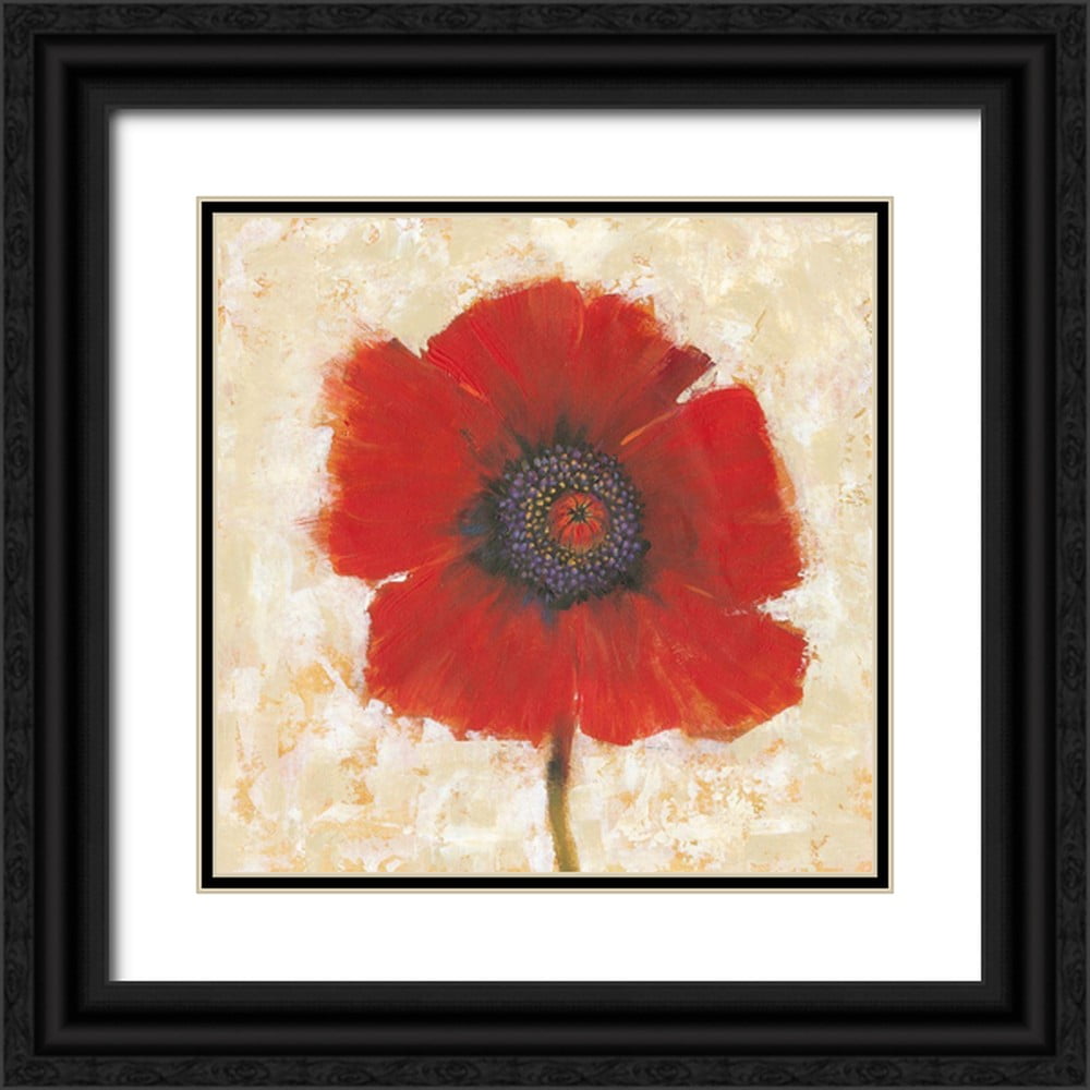 OToole, Tim 20x20 Black Ornate Wood Framed with Double Matting Museum ...