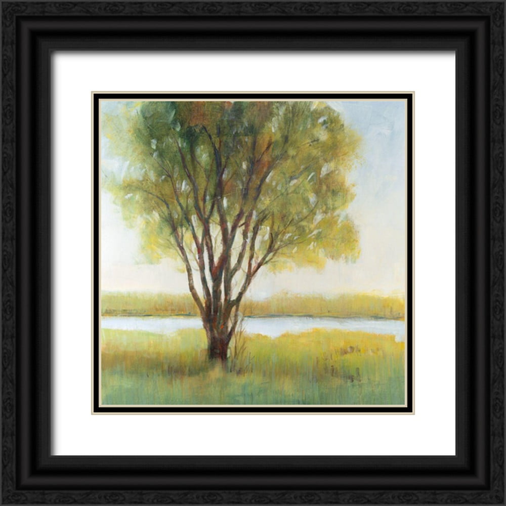 OToole, Tim 20x20 Black Ornate Wood Framed with Double Matting Museum ...