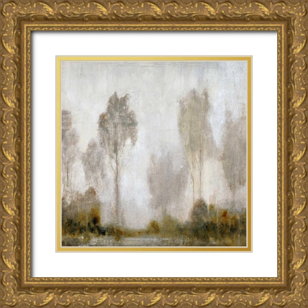 OToole, Tim 20x20 Gold Ornate Wood Framed with Double Matting Museum Art Print Titled - Misty ...