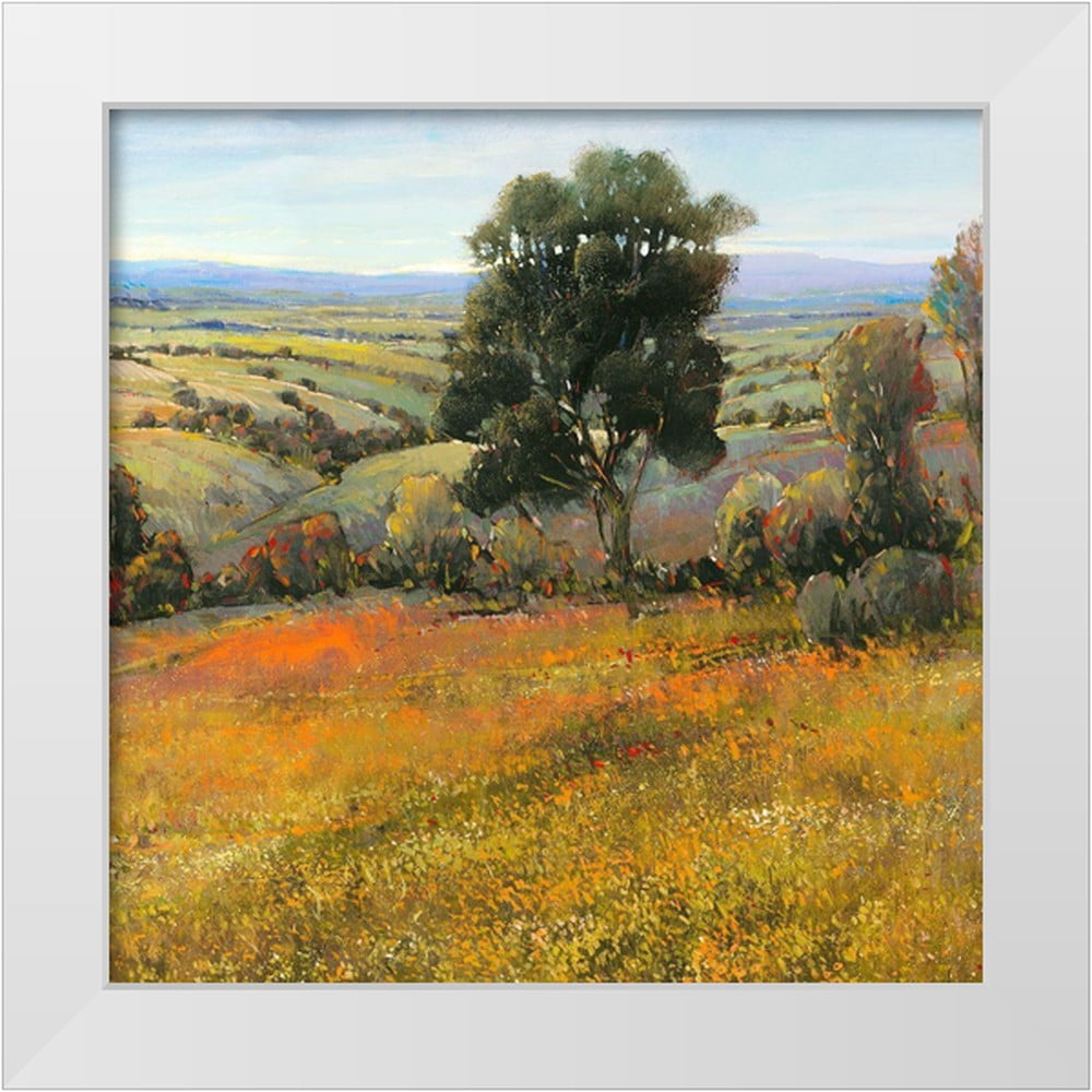 OToole, Tim 20x20 White Modern Wood Framed Museum Art Print Titled ...