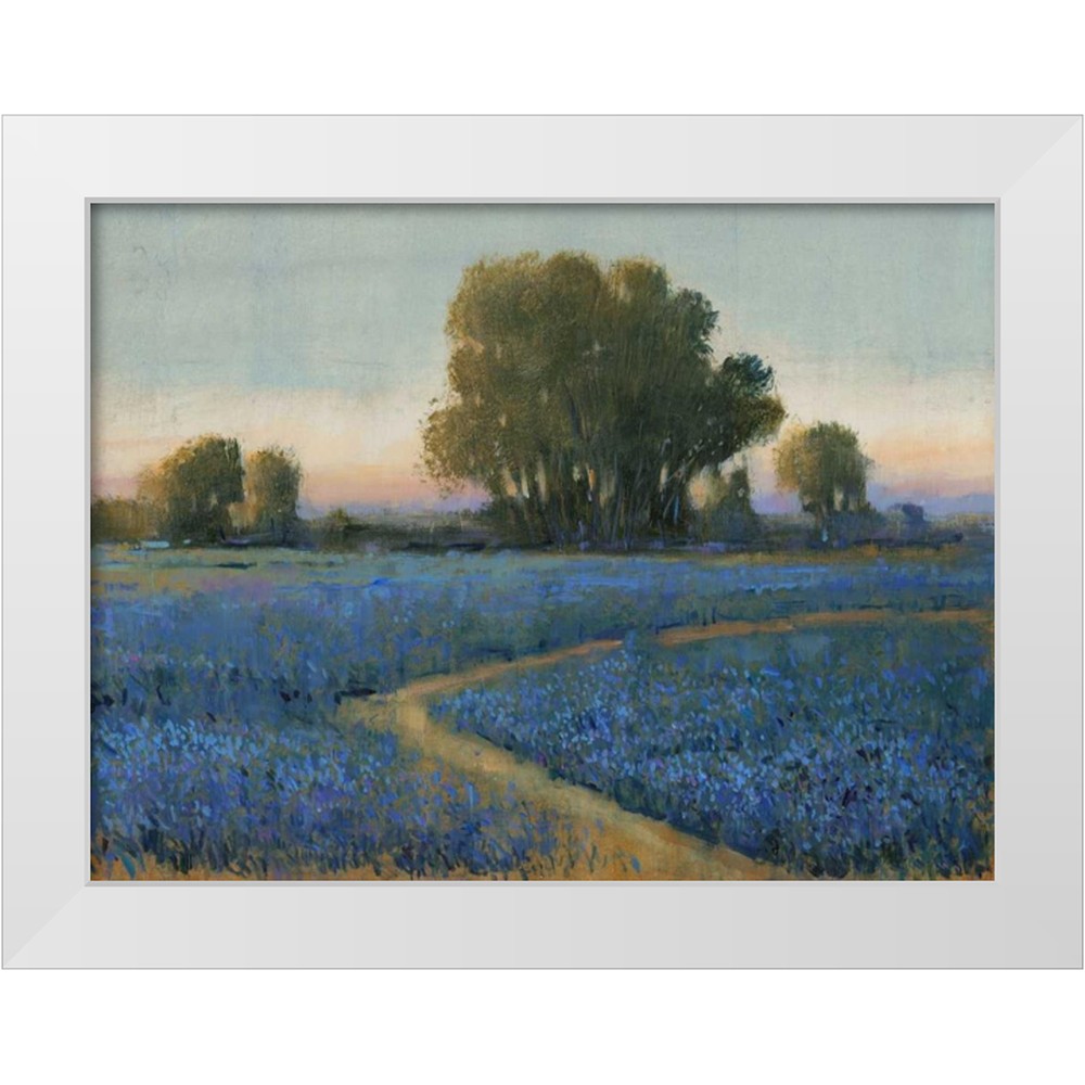 OToole, Tim 24x19 White Modern Wood Framed Museum Art Print Titled ...