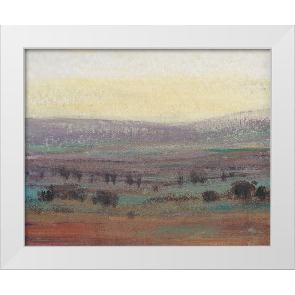 OToole, Tim 24x20 White Modern Wood Framed Museum Art Print Titled ...