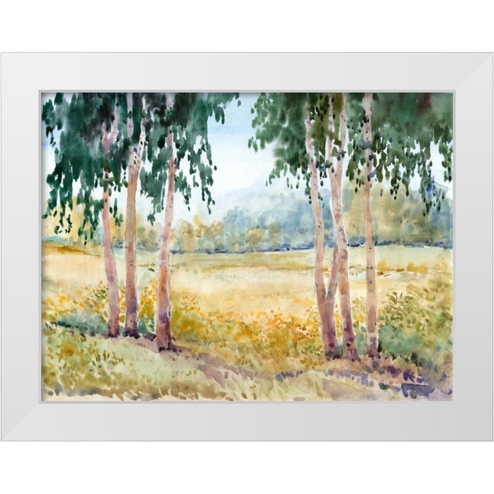 OToole, Tim 32x25 White Modern Wood Framed Museum Art Print Titled - Luminous Meadow II ...