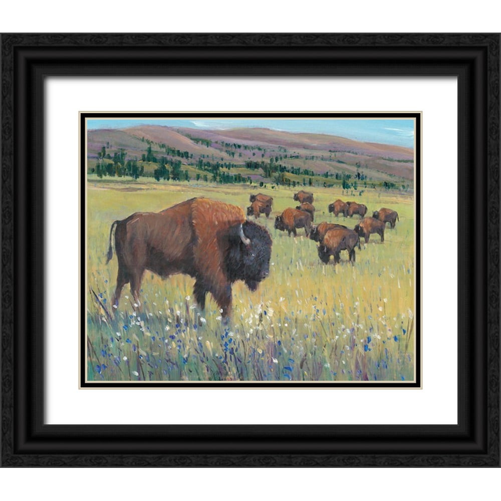 OToole, Tim 32x26 Black Ornate Wood Framed with Double Matting Museum ...