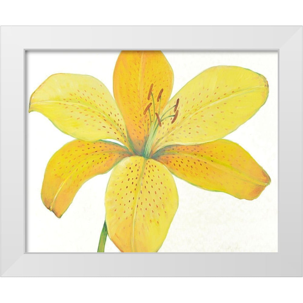 OToole, Tim 32x26 White Modern Wood Framed Museum Art Print Titled ...