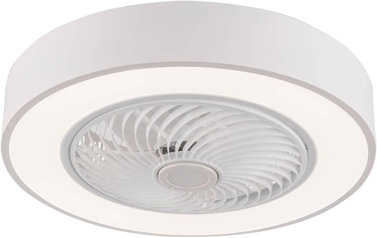 OUKANING Low Profile Ceiling Fan with Lighting, Enclosed Fan, 36 W ...