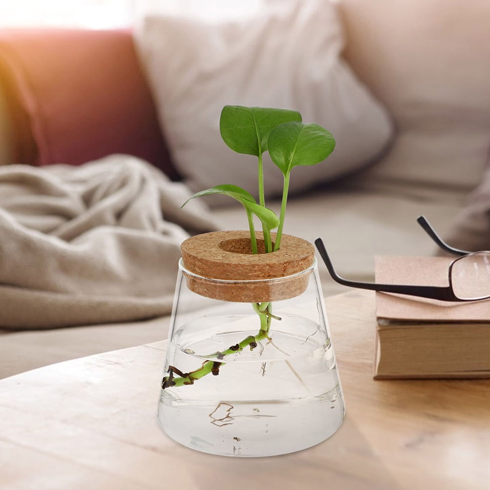 OULII 3Pcs Small Hydroponic Glass Propagation Jars with Wood Lid for ...