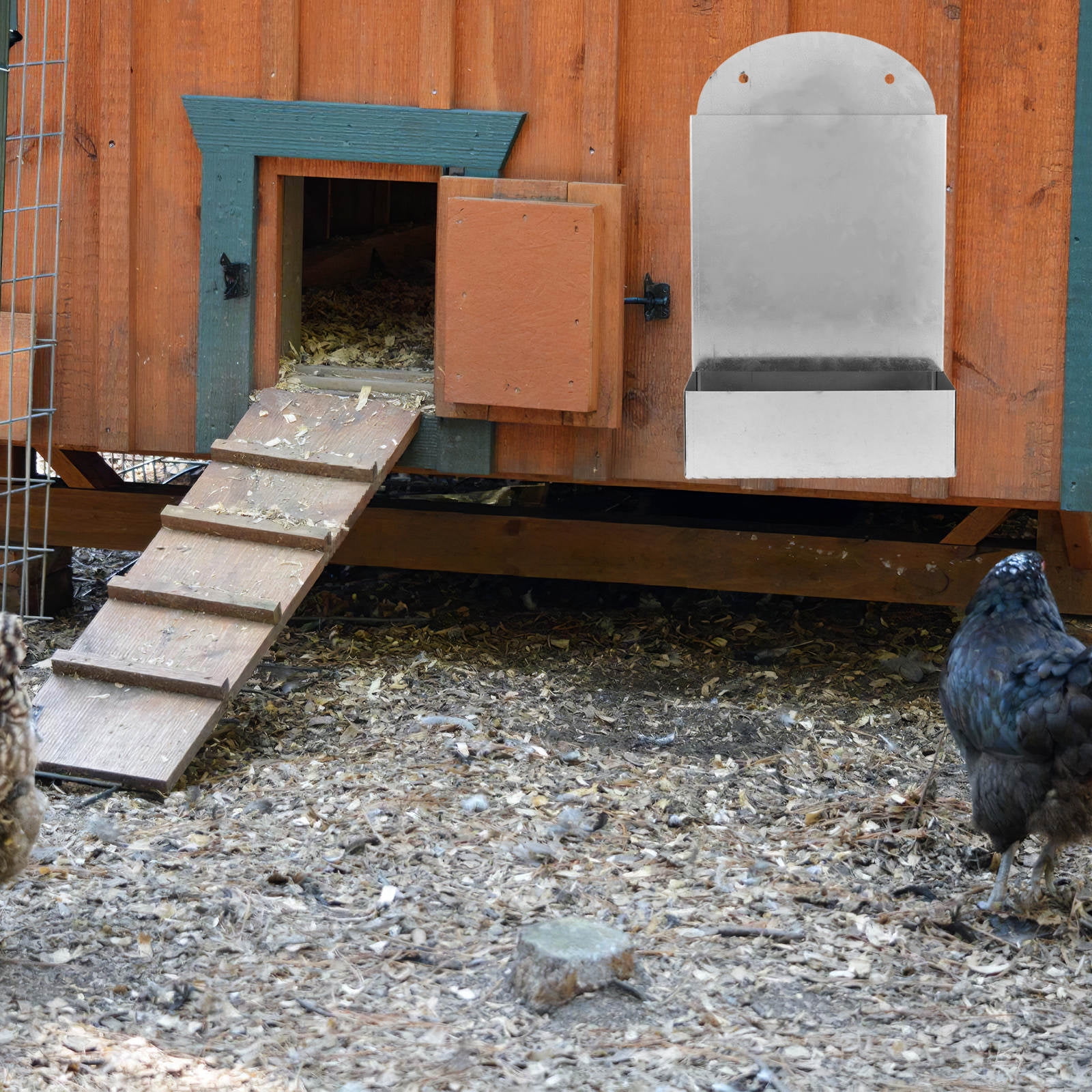 OULII Metal Automatic Chicken Feed Holder for Grit and Oyster Shells ...