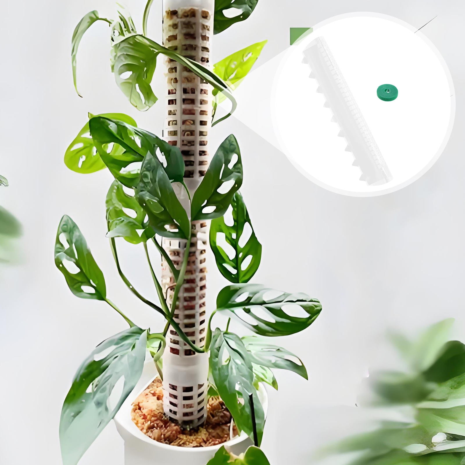 OUNONA 1 Set Clear Plastic Moss Pole for Plants Monstera for Climbing ...