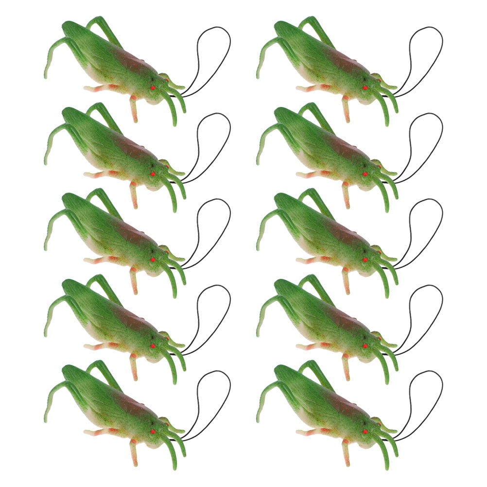 OUNONA 10 Pcs Realistic Grasshoppers Statue Life Cycle Animal Figurines ...