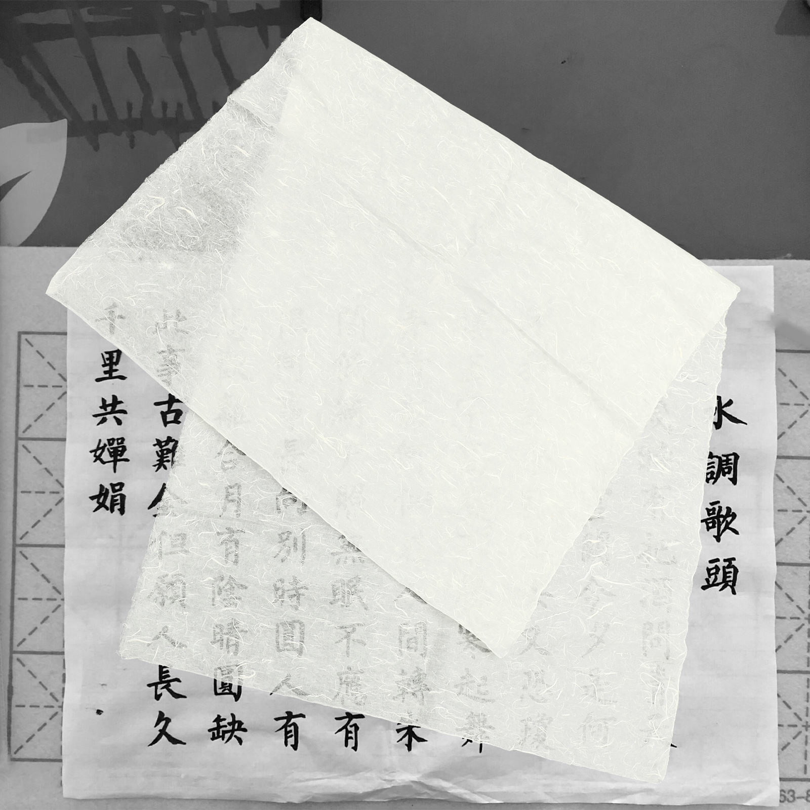 OUNONA 10 Sheets Chinese Art Paper Professional Writing Paper Dried ...