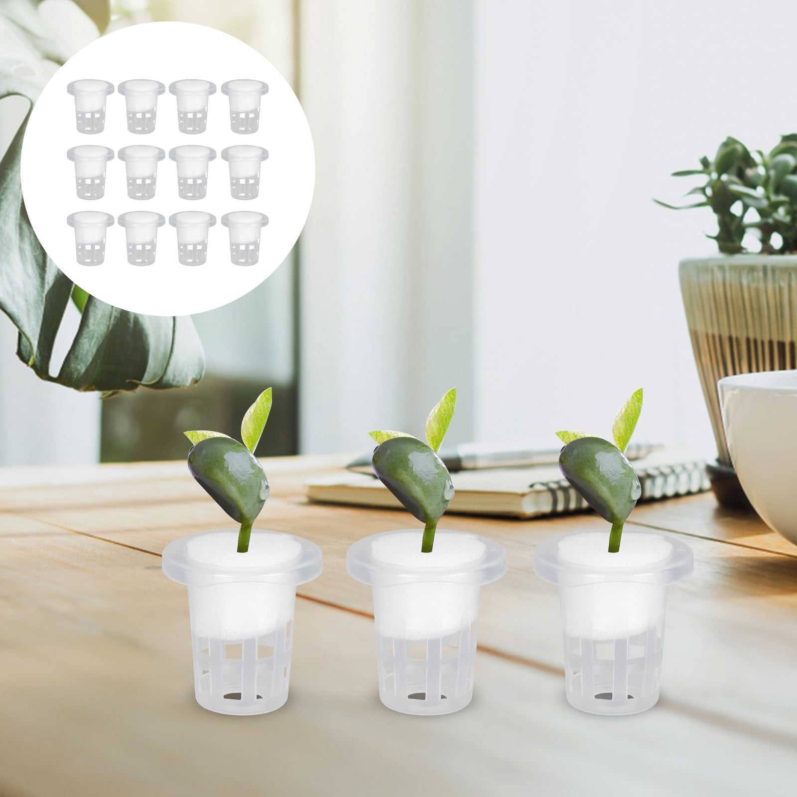 OUNONA 100 Pcs Hydroponics Plant Growing Containers Garden Plant ...