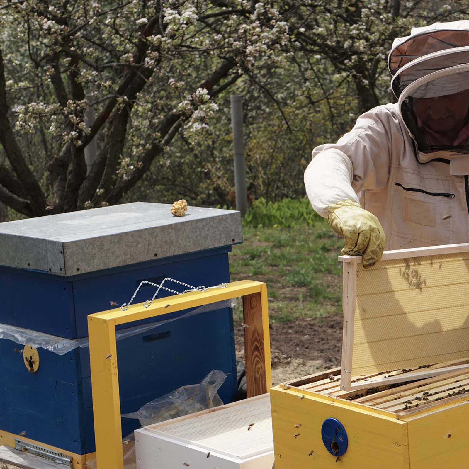 OUNONA 10pcs Beehive Frame Spring Fastener Beehive Frame Tool Durable ...