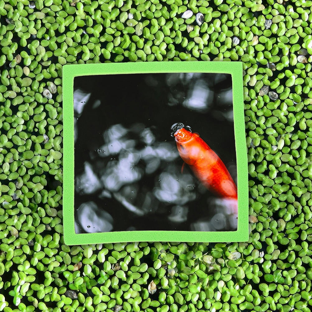 OUNONA 10pcs Floating Plant Rings Aquarium Betta Fish Feeding Ring Fish ...