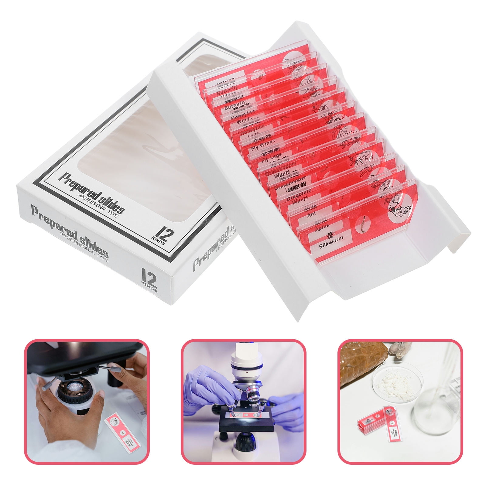 OUNONA 12 Pcs Biological Sample Sections Microscope Samples Insect ...