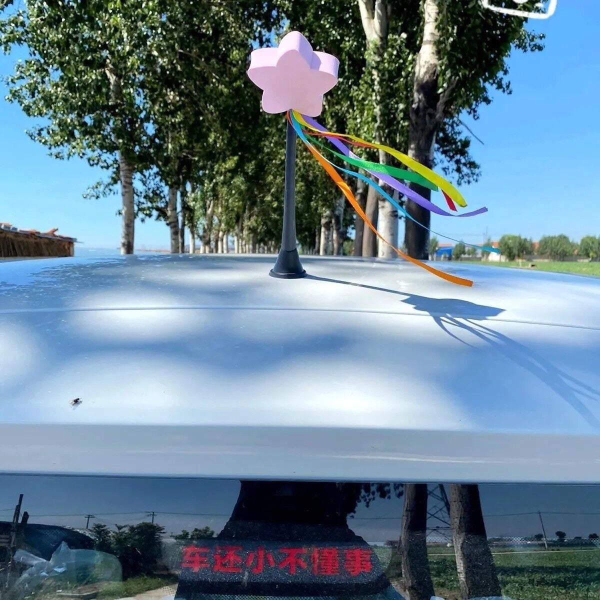 OUNONA 2-Pack Car Antenna Toppers for Vehicles: Unique Roof Decorations ...