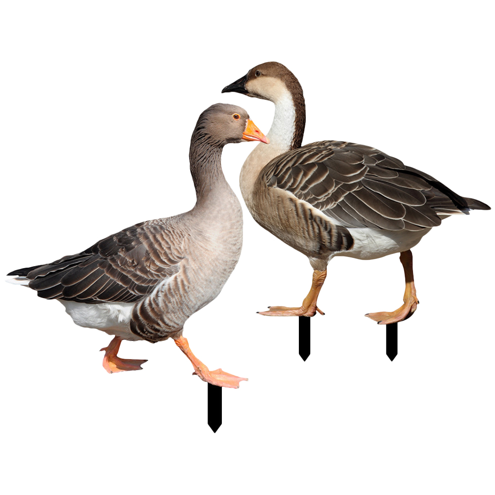 OUNONA 2 Pcs Garden Edge Decorative Inserts Animal Stakes - Walmart.com