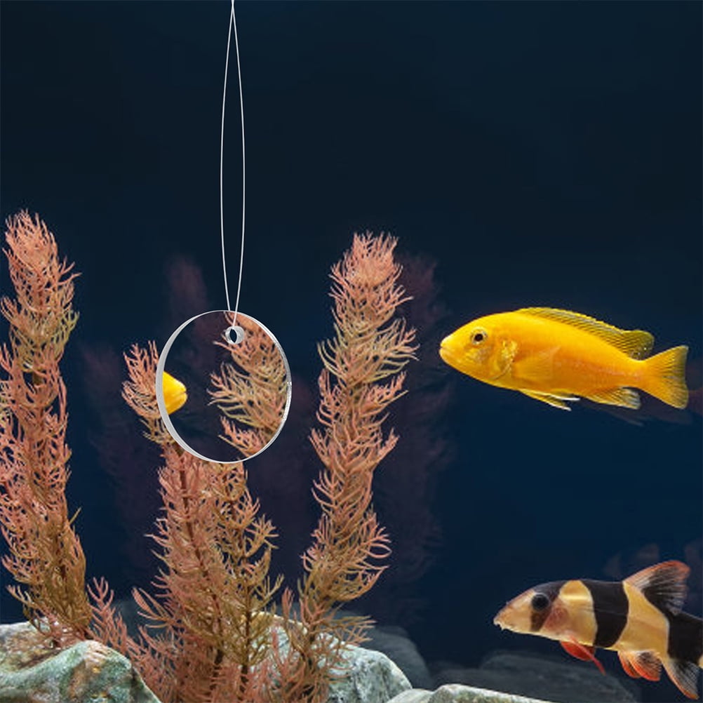 OUNONA 2 sets of Betta Fish Exercise Mirror Fish Tank Fish Training ...