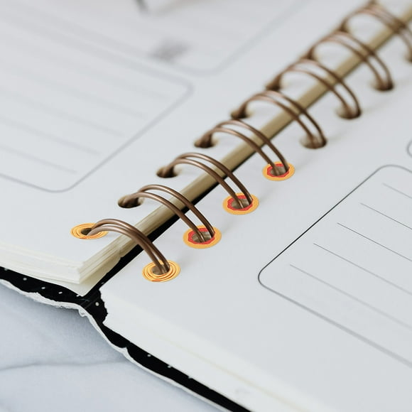 Paper Reinforcement Rings