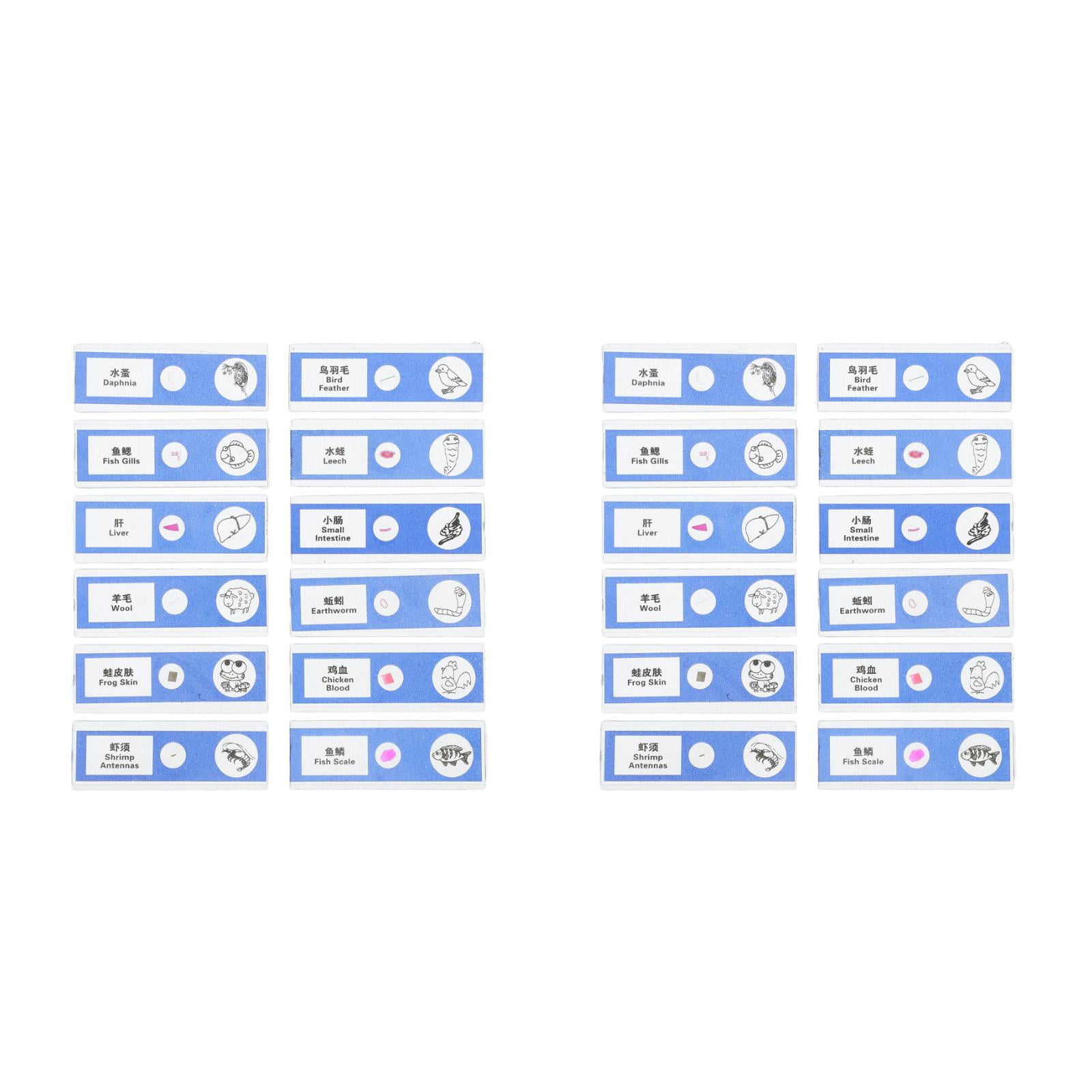 OUNONA 24 pcs Prepared Microscope Slides For Kids Adults Samples ...