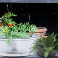 OUNONA 2Pcs Black Oval Reusable Plastic Planter for Indoor Outdoor ...