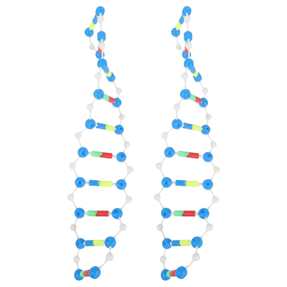 OUNONA 2pcs Dna Models Double Helix Structure Models Dna Models Kit ...