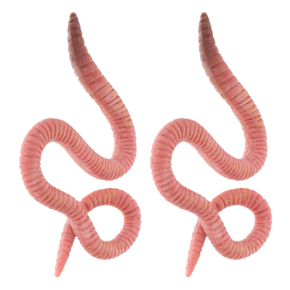 OUNONA 2pcs Plastic Angleworm Model Realistic Earthworm Model Fake ...