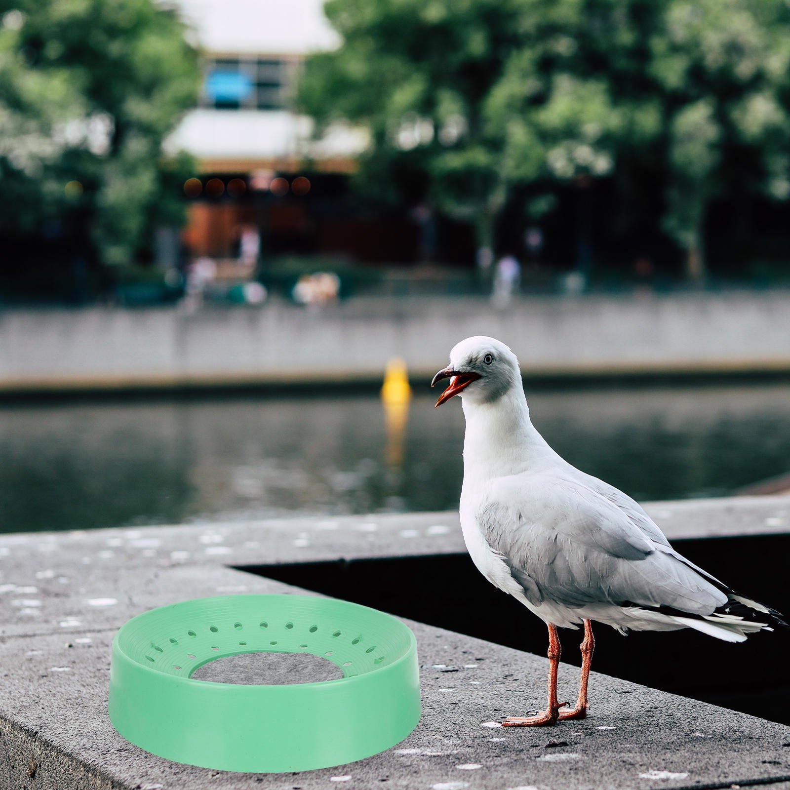 OUNONA 3 Sets Pigeon Nest Bowl Bird Nests Trap Egg Laying Breeding Kit ...