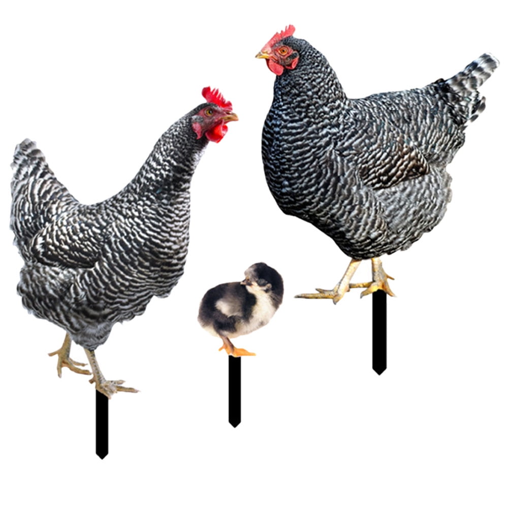 OUNONA 3pcs Acrylic Hen Chick Yard Arts Decorative Chicken Shaped Yard ...