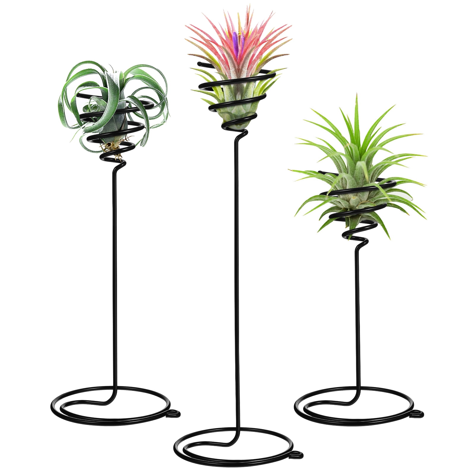 OUNONA 3pcs Tillandsia Displaying Stands Spiral Flower Stands Air ...