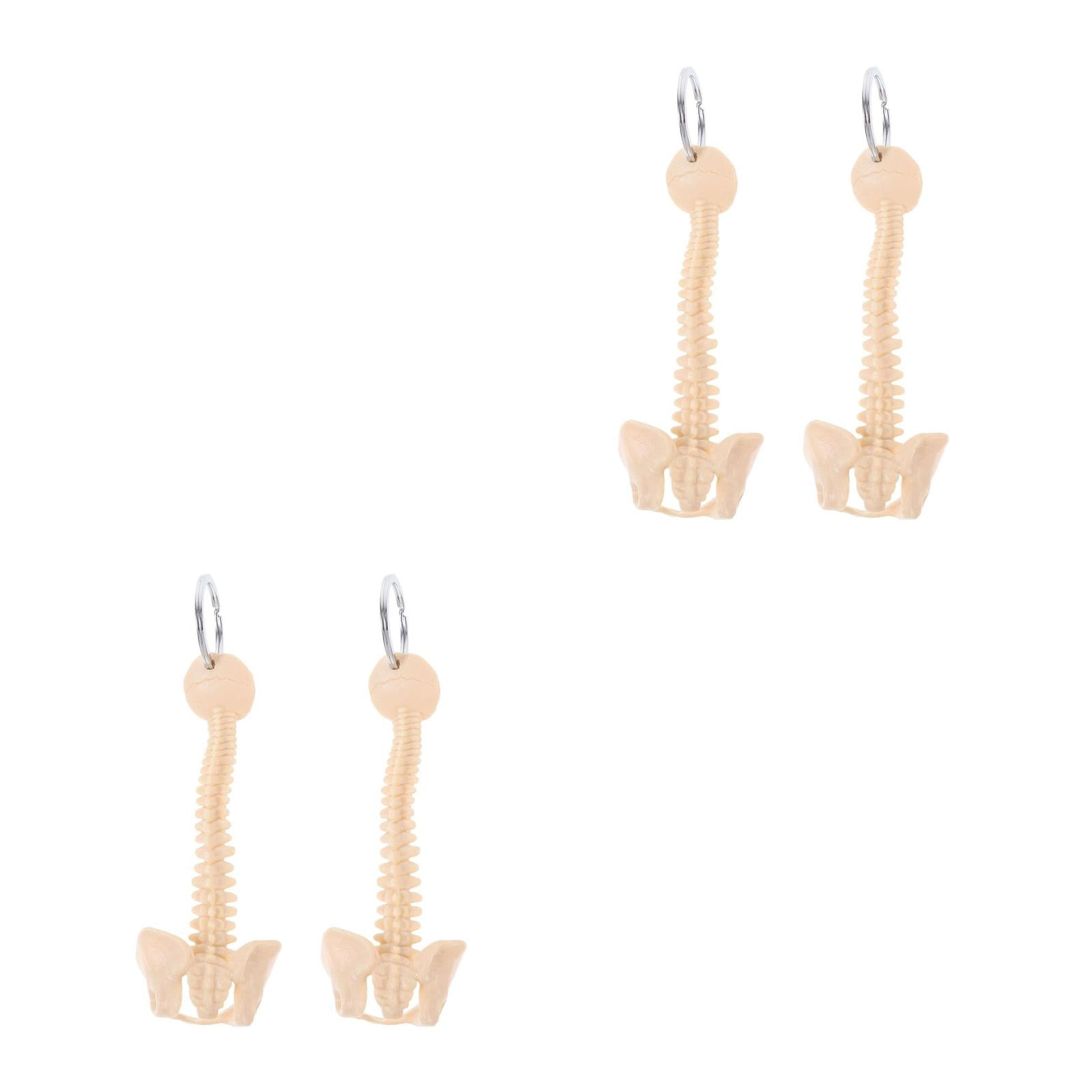 OUNONA 4 pcs Human Spine Keychain Anatomical Keychain Small Spine Model ...
