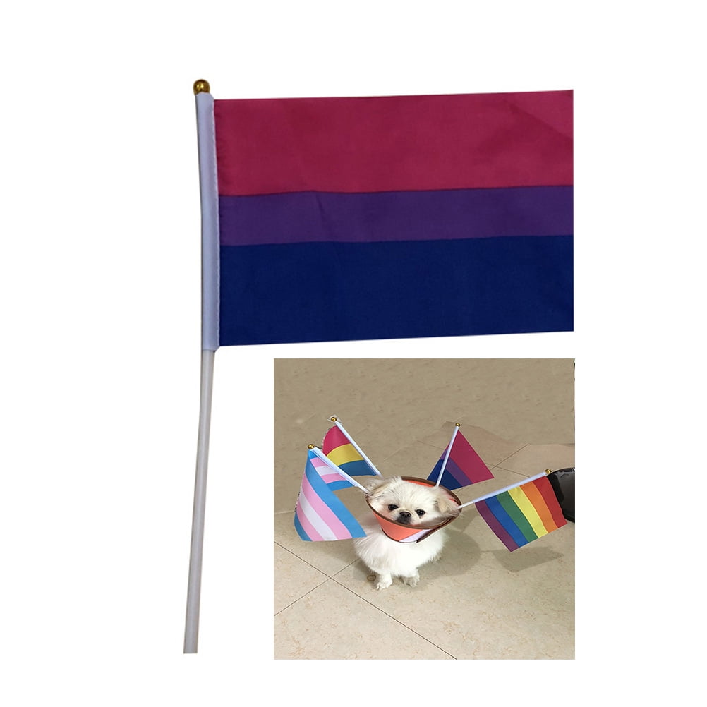 OUNONA 50 Pcs Rainbow Flag Hand-crank Asexual Lgbtq Waving - Walmart.com