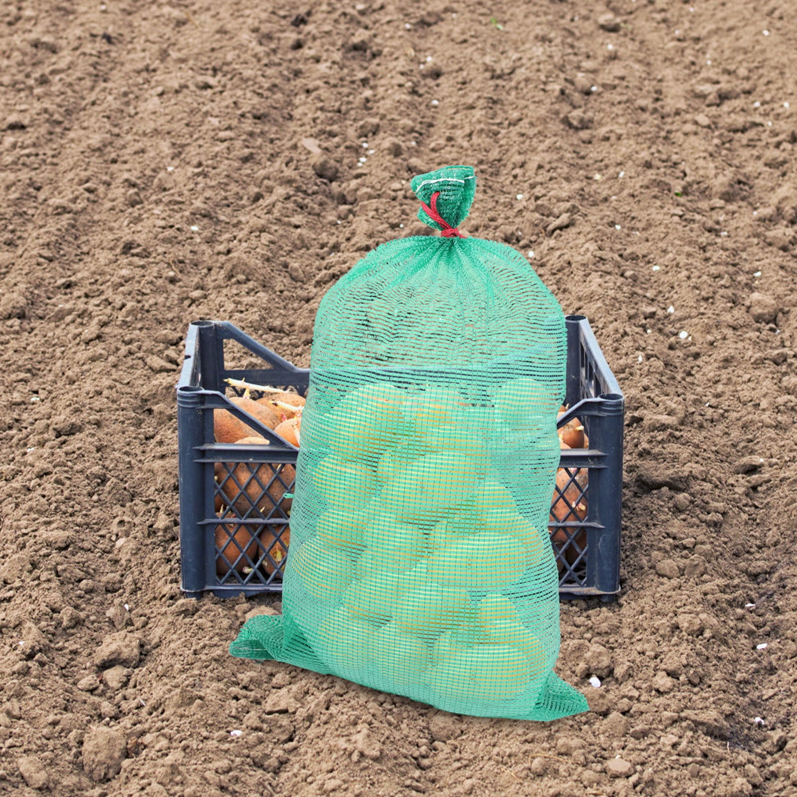 IFANLANDOR Produce Mesh Bags Mesh Produce Bags Green Pp 50Pcs 80X50X1Cm ...