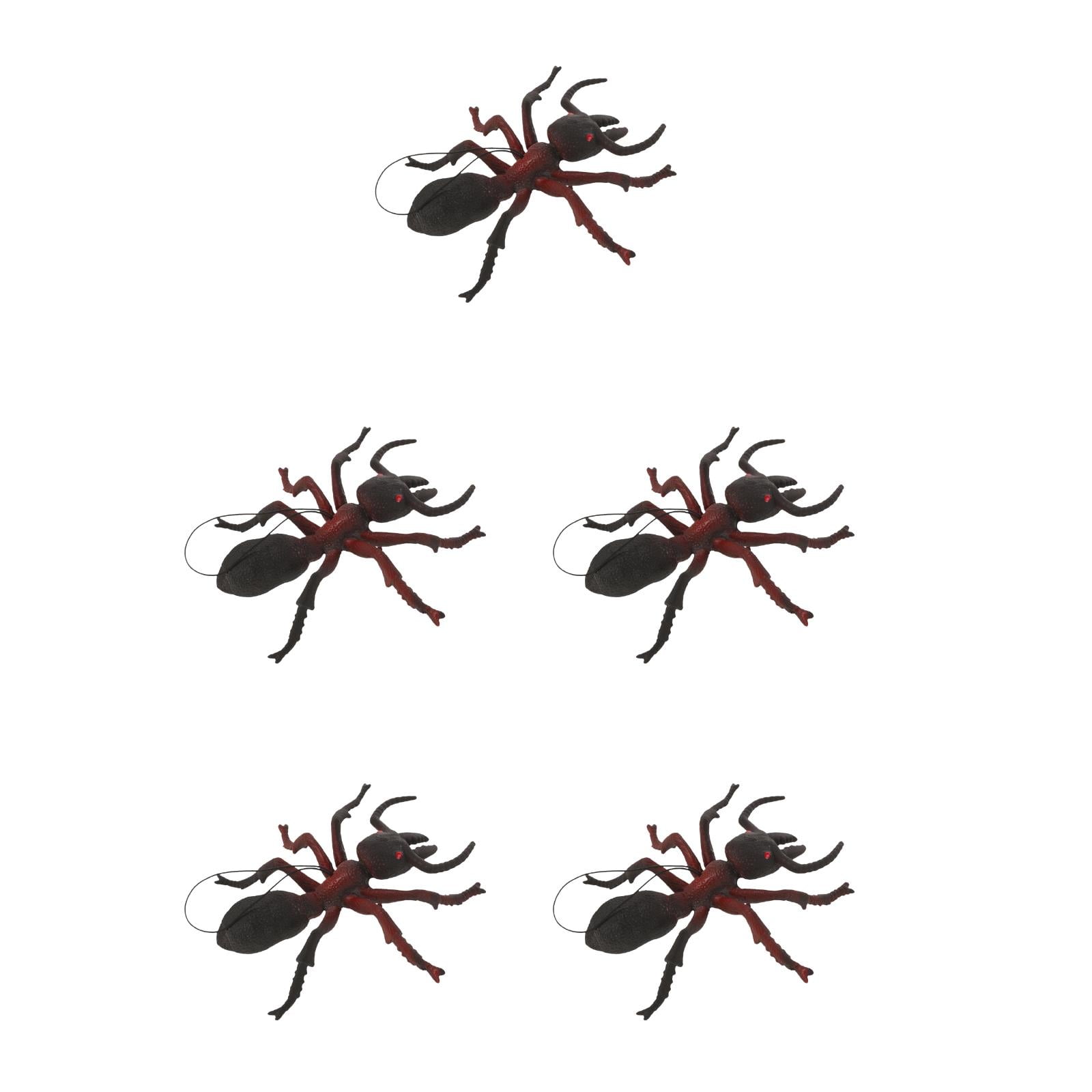 OUNONA 5pcs Simulation Ant Realistic Molding Garden Large Ant Model for ...