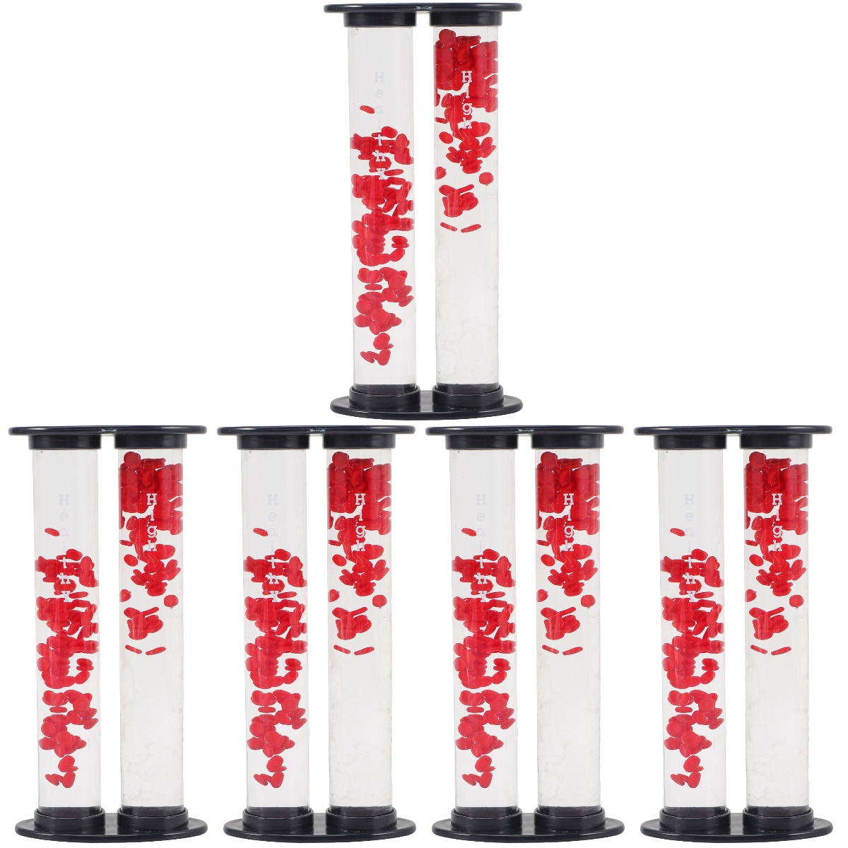 OUNONA 5pcs Teaching Blood Vessel Model Medical Display Blood Vessel ...