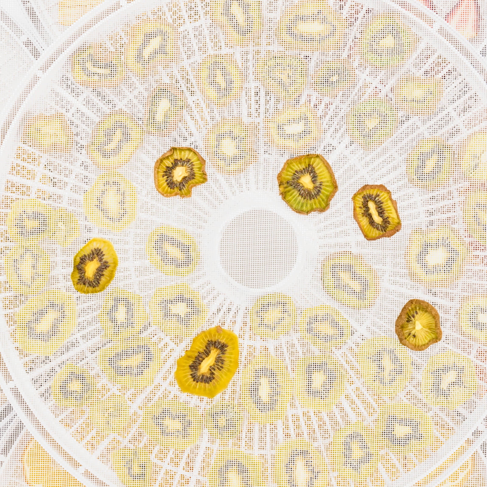 OUNONA 6pcs Food Dehydrator Silicone Sheets Non Stick Reusable Oven ...