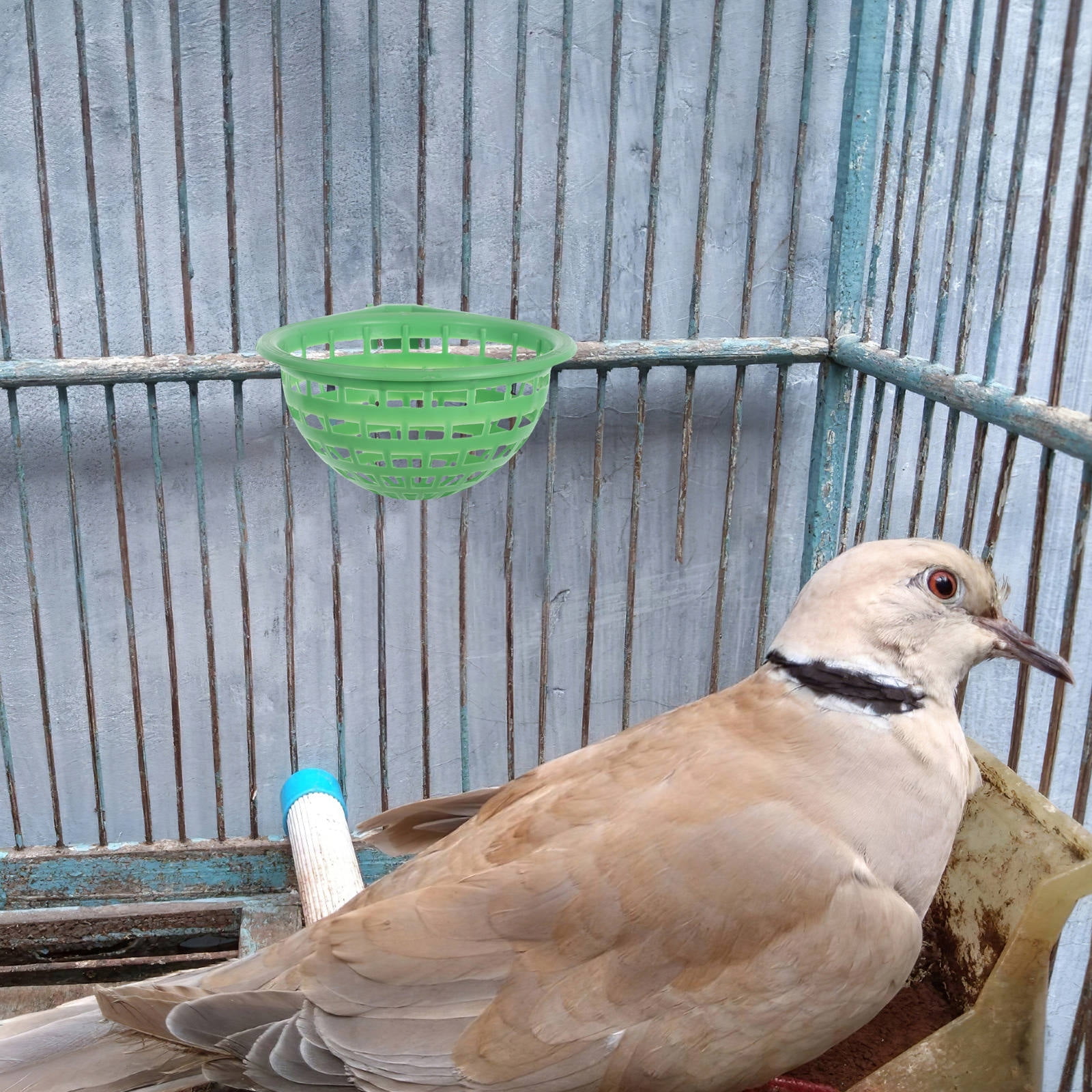 OUNONA 6pcs Pigeon Nesting Bowl Bird Hatching Bowl Bird Nests Plastic ...