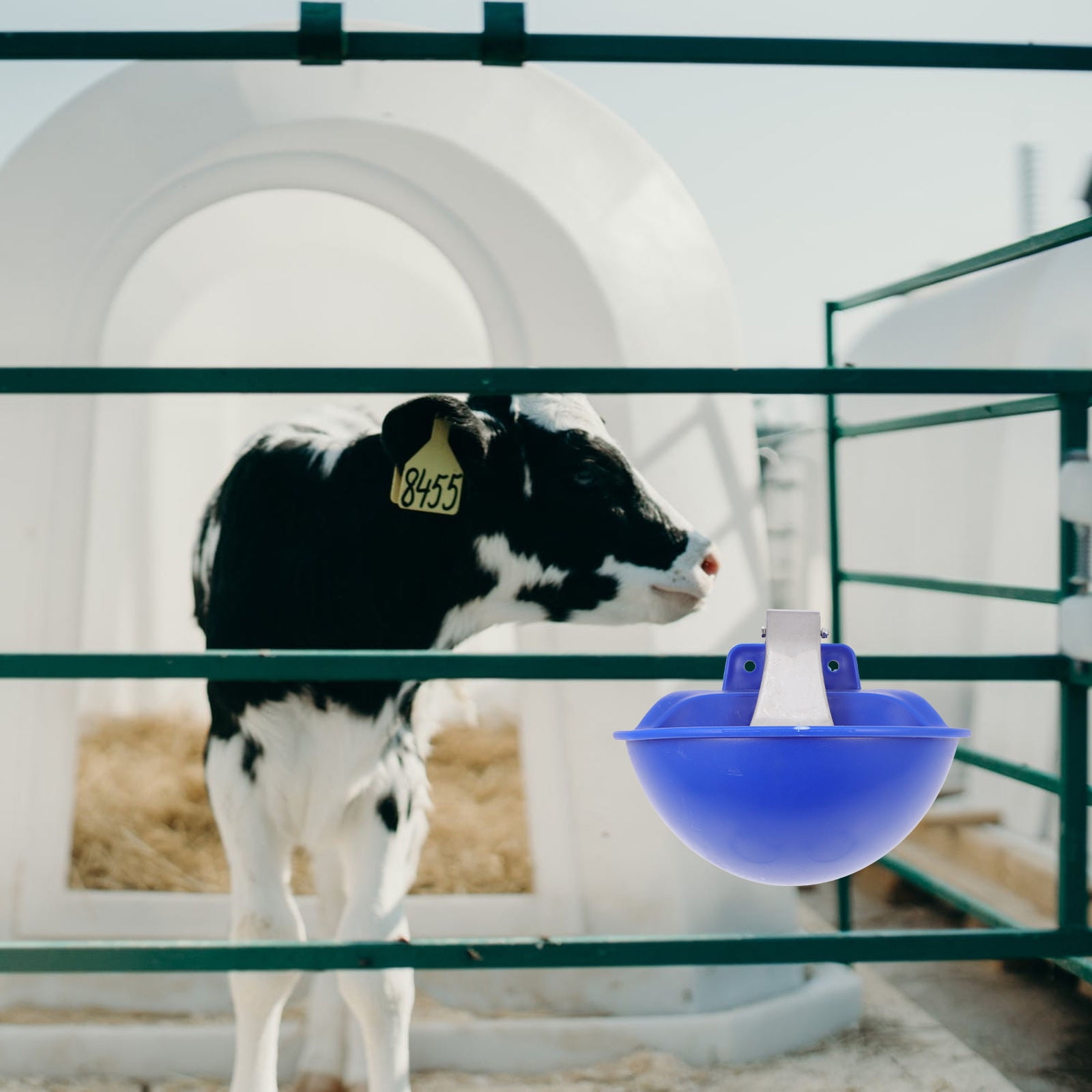 OUNONA Automatic Cow Watering System Drinking Bowl Livestock Feeder ...