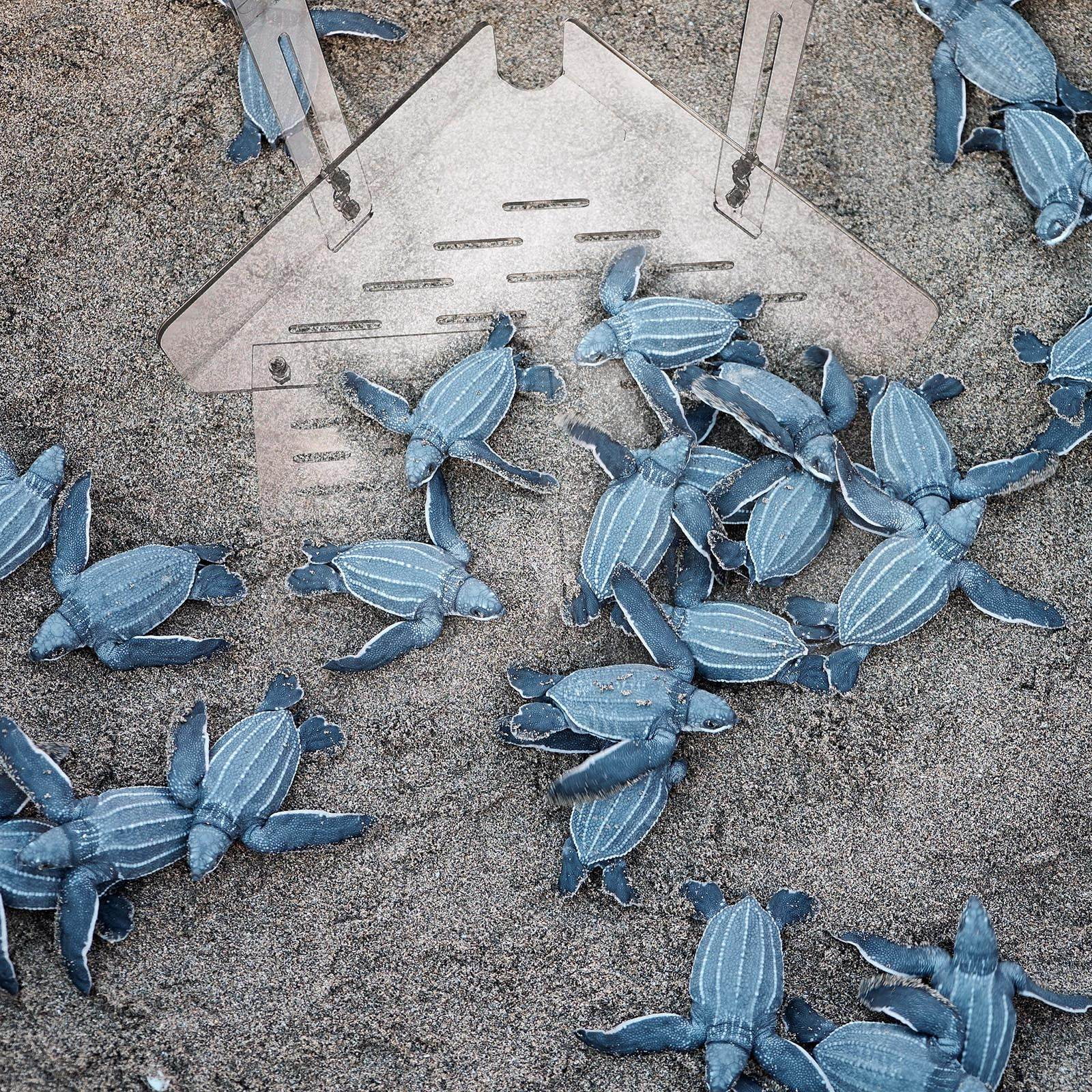 OUNONA Basking Turtle Terrace Floating Dock Tank Accessory - Walmart.com