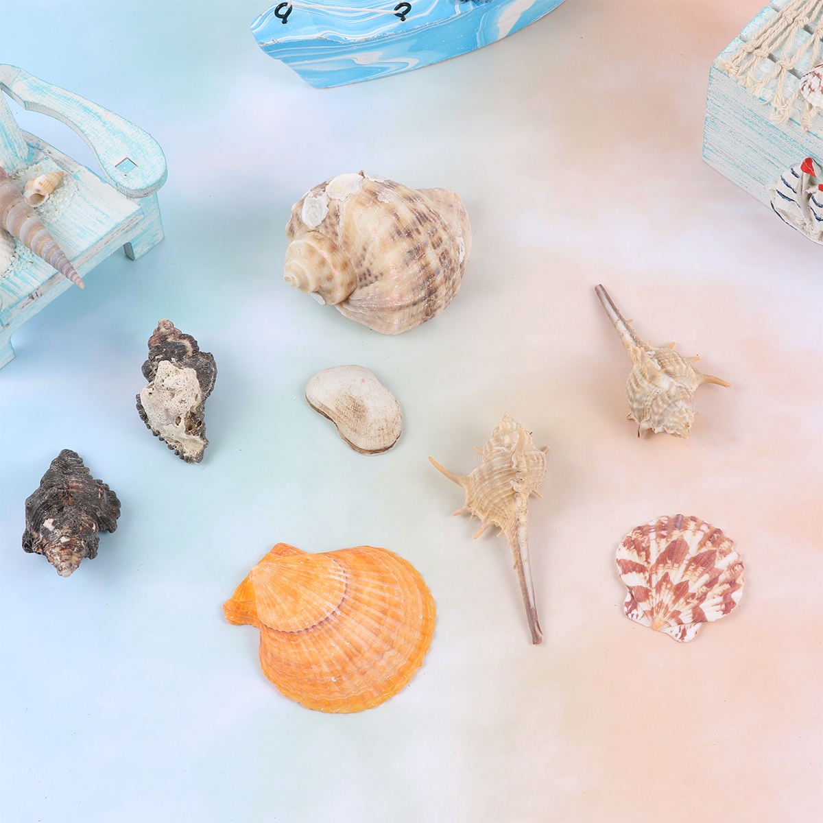OUNONA Beach Items Sea Shell Kit Combination Decor Seashells - Walmart.com
