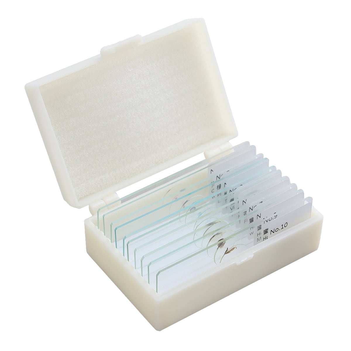 OUNONA Biology Prepared Slides for Studying Use Made of Glass Safe for ...