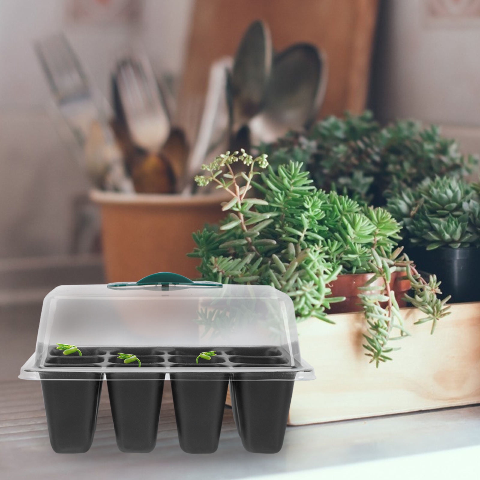 OUNONA Black Plastic Germination Box with 12 Cells for Home Use ...