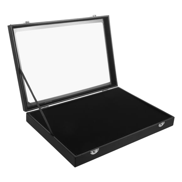 Pin Display Case