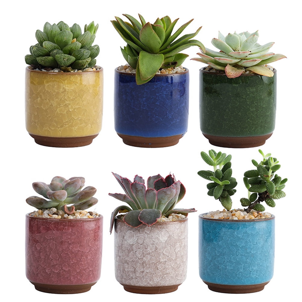 HEMOTON 6pcs Ceramic Succulent Planter Pots Coloured Ceramic Flower Pot ...