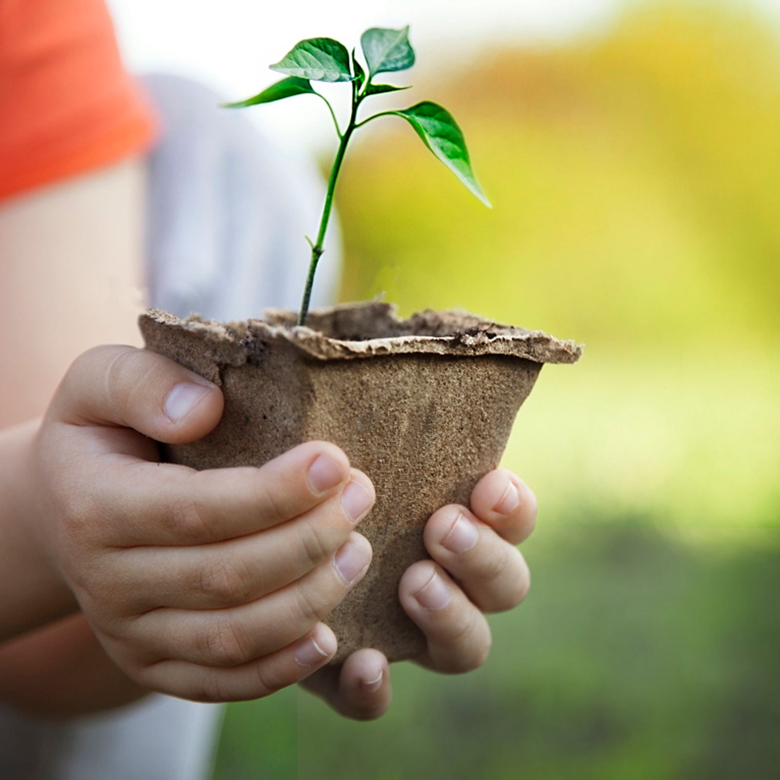 OUNONA Ecofriendly Pulp Plant Nursery Pots for Gardening with Warmth ...