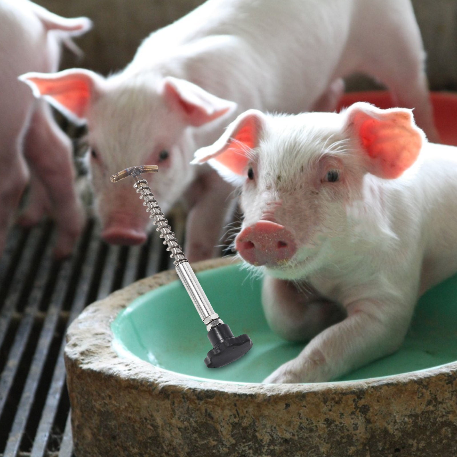 OUNONA Feeder Trough Fixing Accessories Stainless Steel Pig Food Bowl ...