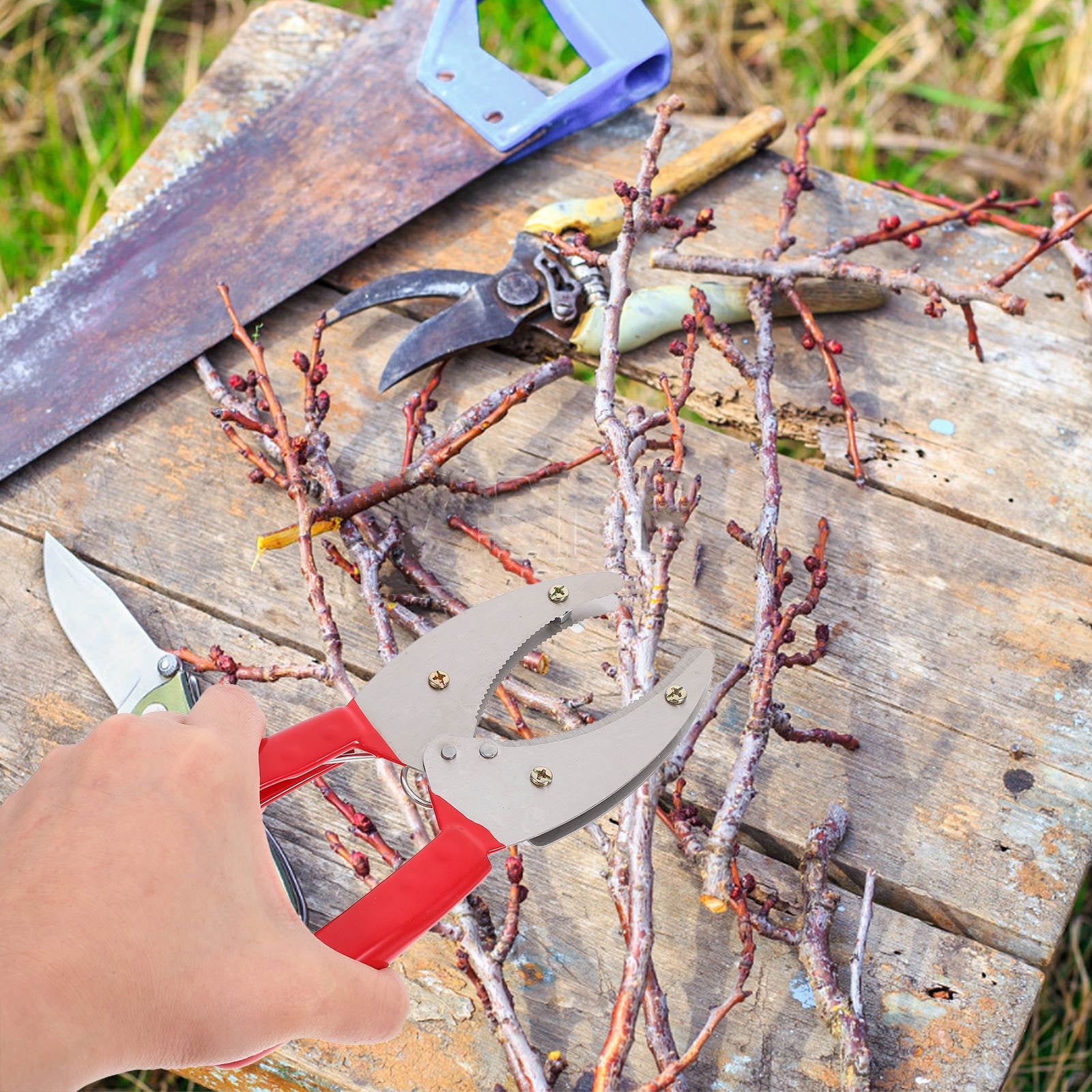 OUNONA Fruit Tree Ring Peeler Cutting Practical Girdling Tool Pink ...