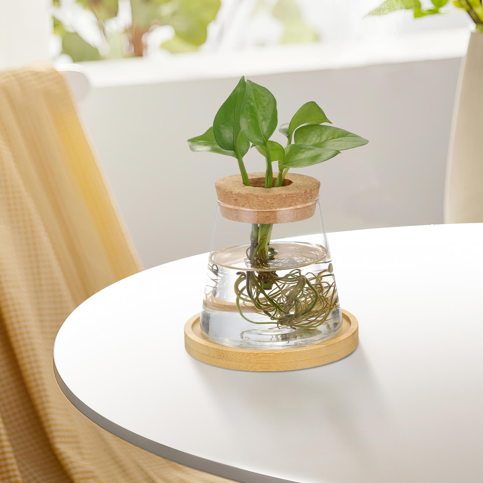 OUNONA Glass Hydroponic Planter Vase For Indoor Plants Propagation ...