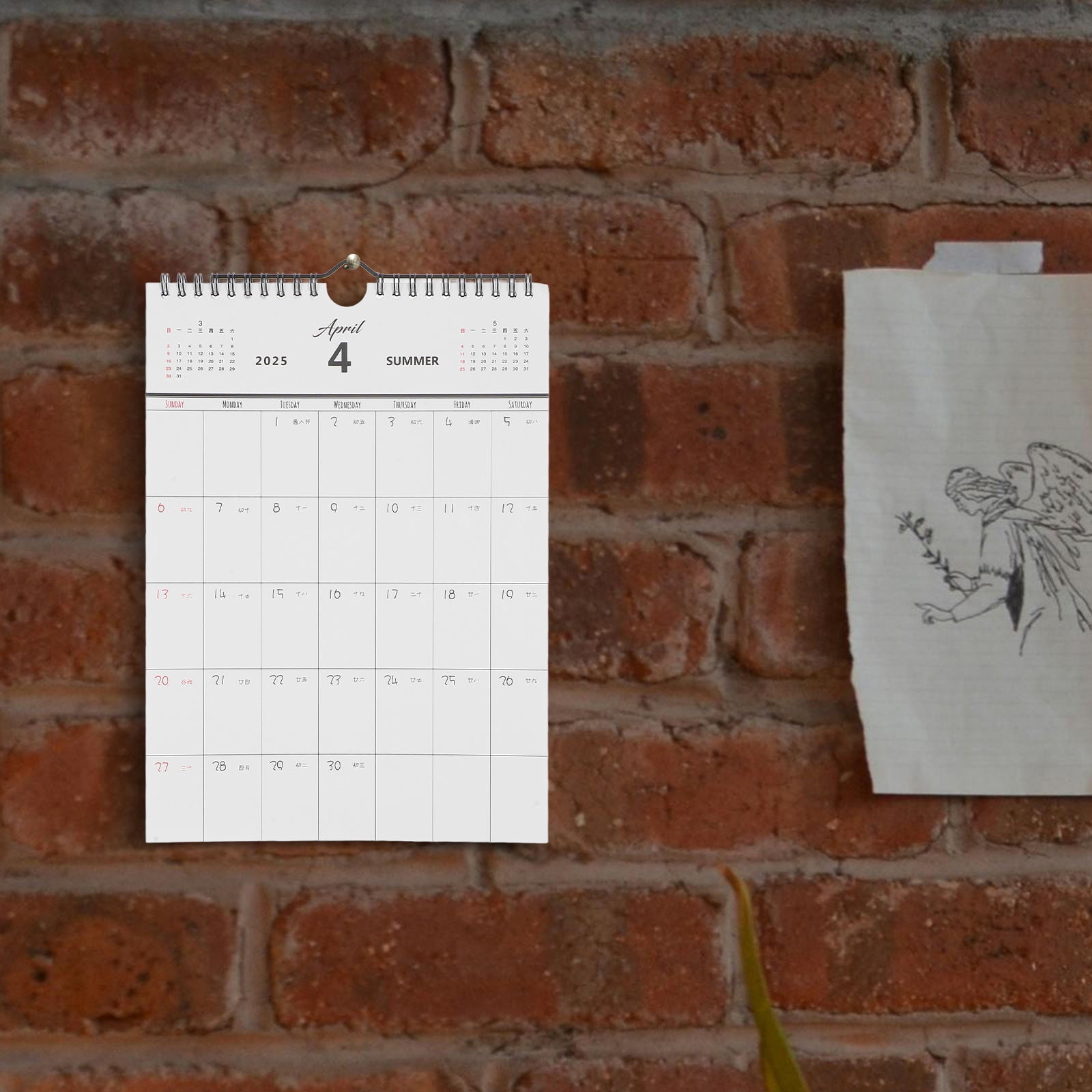 OUNONA Hanging Calendar Daily Wall Calendar Office Supply Women Room ...