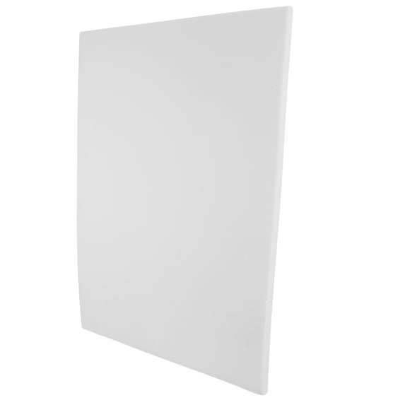 Tineasur Eva White Butterfly Specimen Display Pad for Entomology and ...